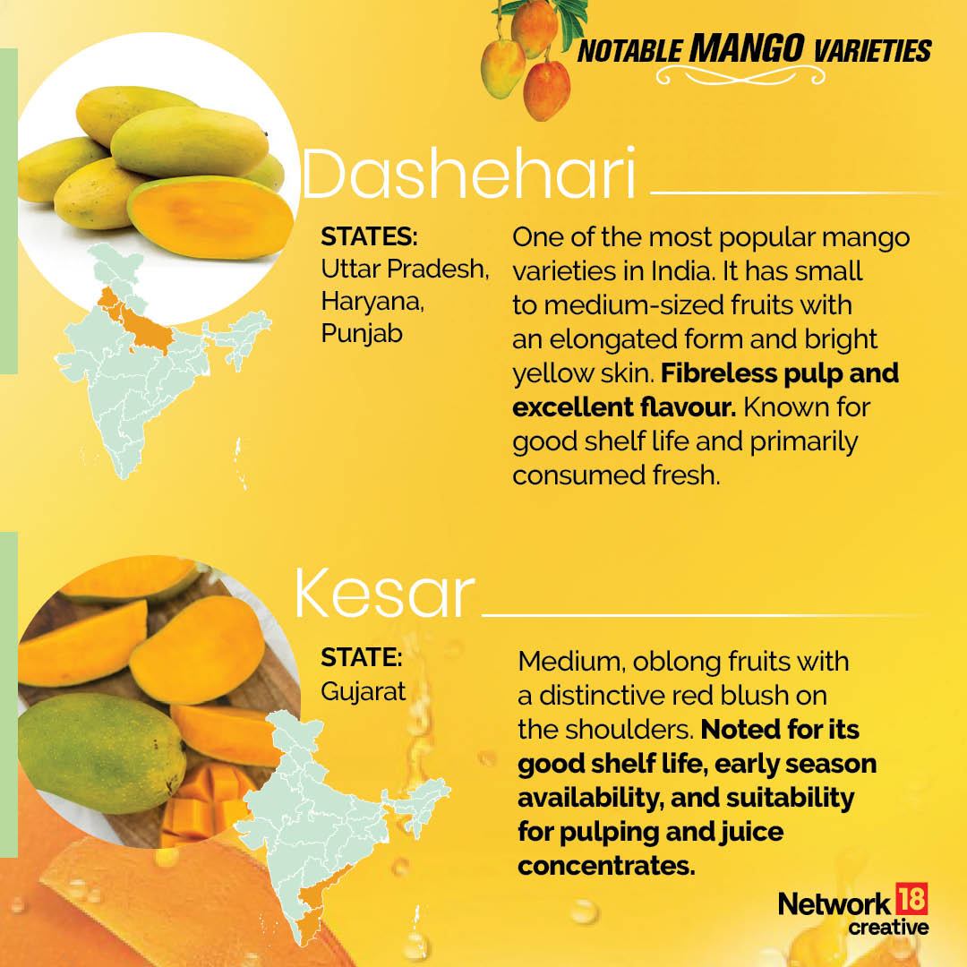 Mangoes Of India: From Alphonso To Dasheri, Exploring Varieties Of Country's Most Loved Fruit | VFX