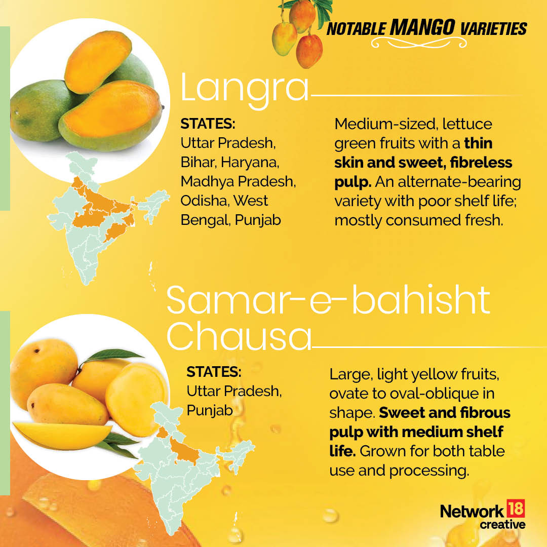 Mangoes Of India: From Alphonso To Dasheri, Exploring Varieties Of ...