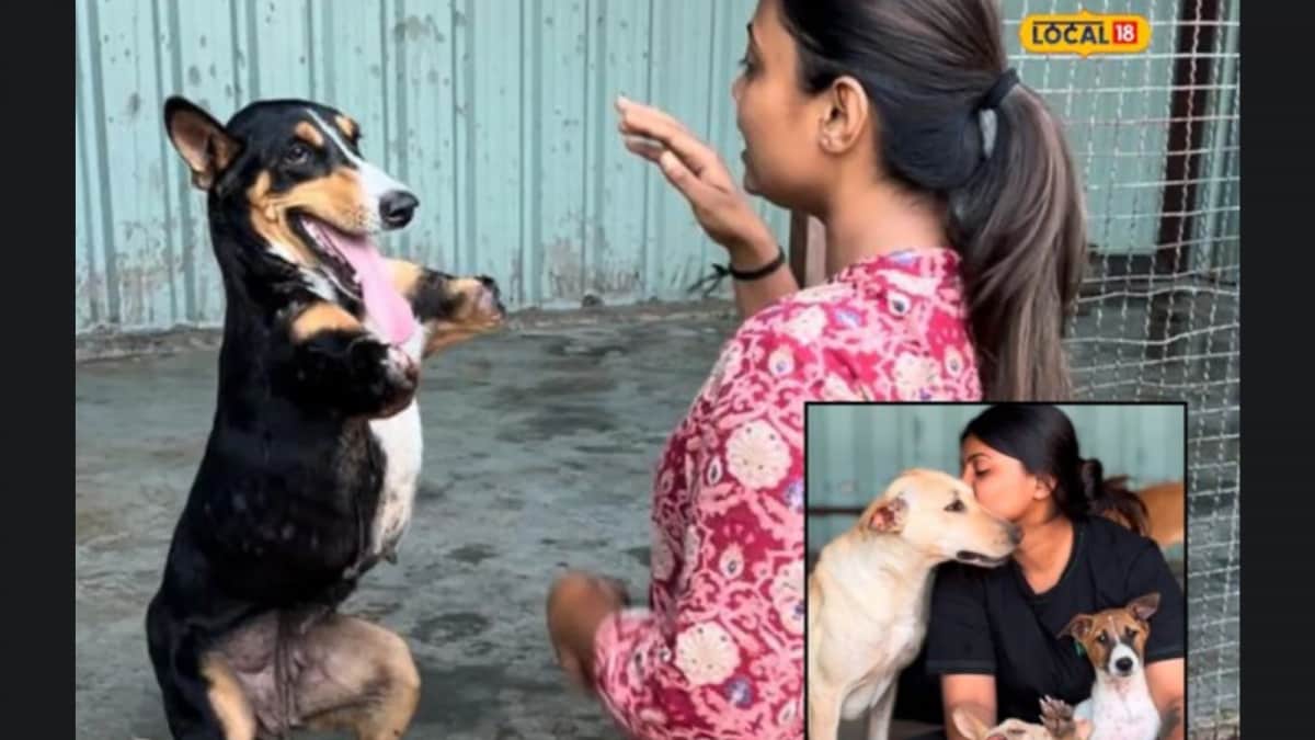 This 27-Year-Old Quit MBBS To Care For Street Animals, Now Runs Her Own ...