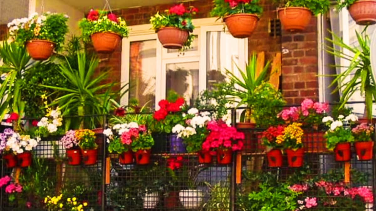 After Pune Tragedy, Lucknow Bans Flower Pots On Balconies To Prevent ...