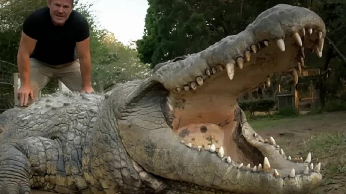 He Ate People, Fathered 10,000 Babies, and Just Turned 124 — Meet Henry ...