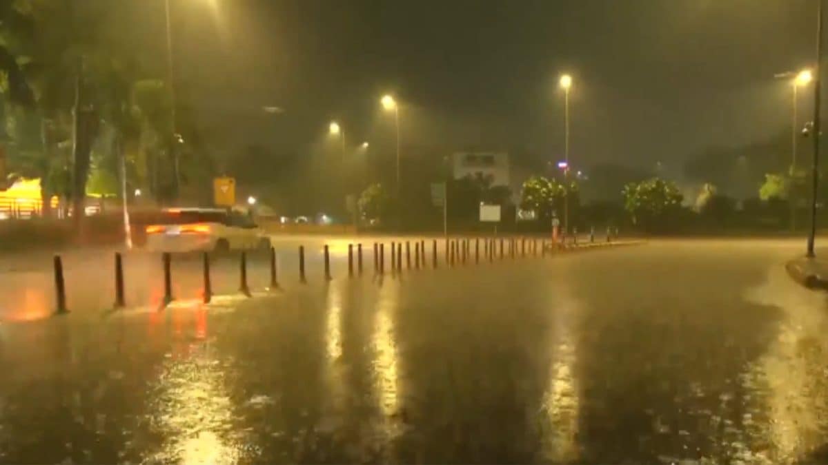 Delhi Wakes Up To Heavy Rain, Visuals Show Waterlogged Roads, Uprooted ...