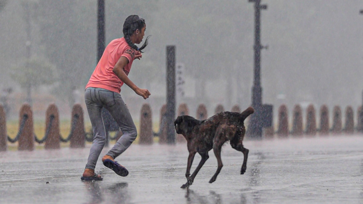 Doubts Raised Over Rabies Vaccine In Kerala As 3 Children Die Despite ...