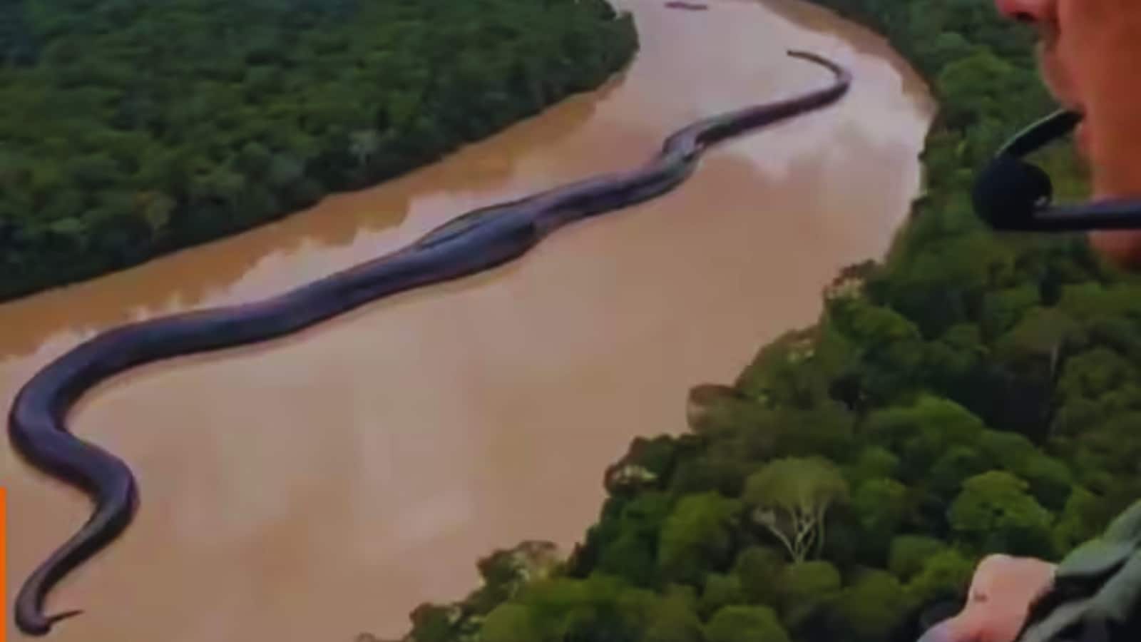 River Amazon Anaconda