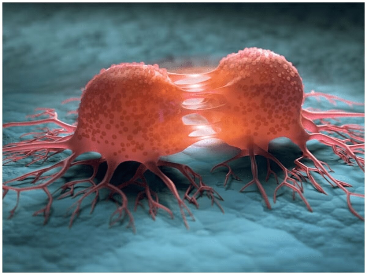 Cancer Warning Signs: Don’t Ignore These Subtle Symptoms
