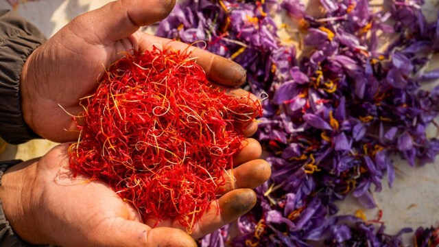 Saffron Shoots Up To Rs 5 Lakh Per Kilogram After Pahalgam Attack ...