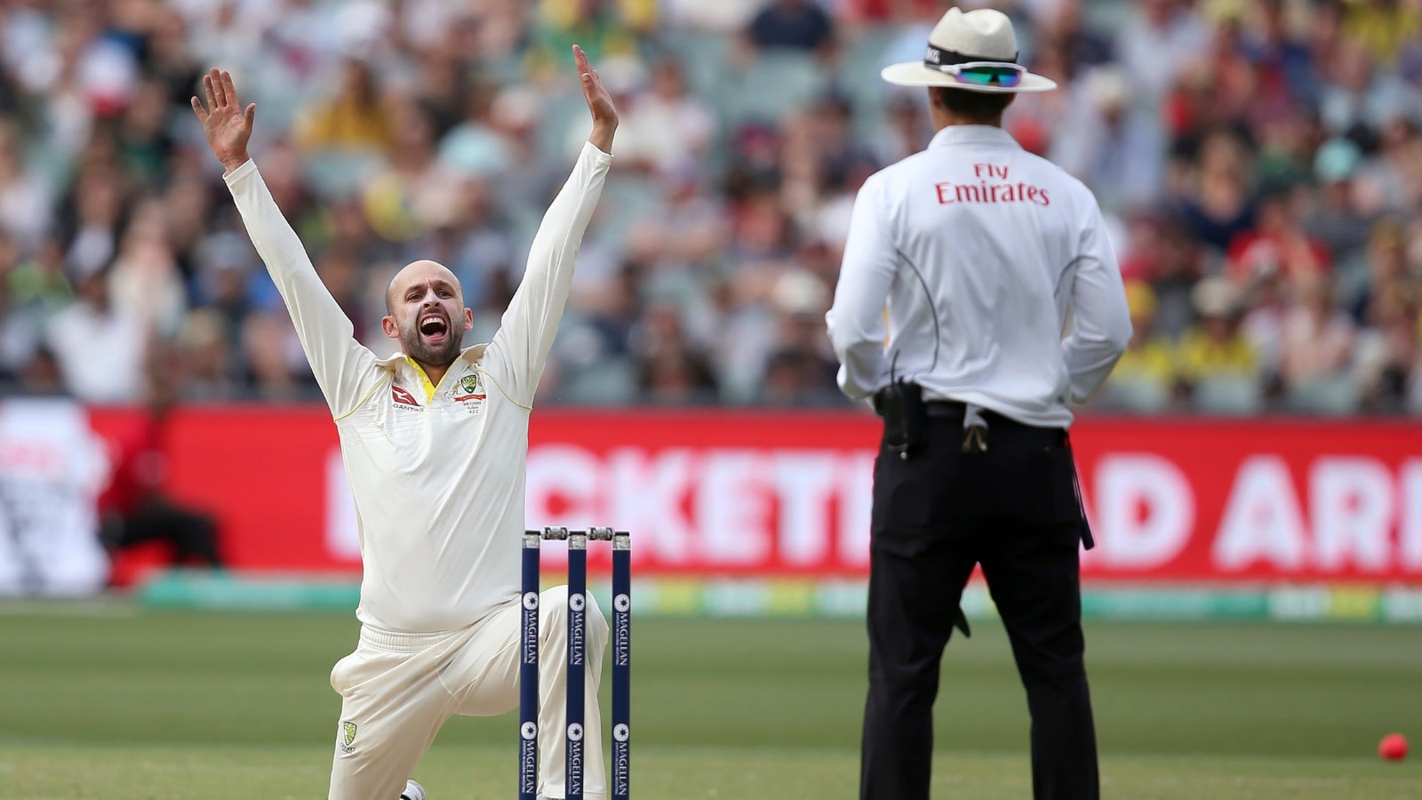 Umpire’s Call: What It Means & How It Affects LBW Decisions In Cricket ...