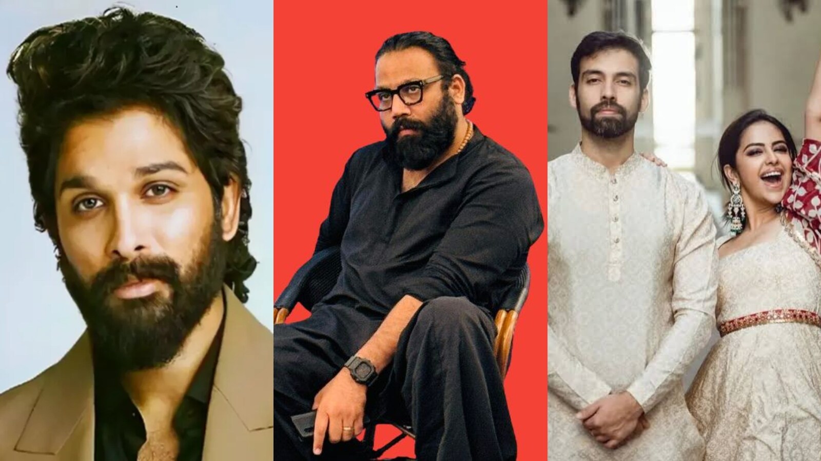 Allu Arjun Removed From Sandeep Reddy Vanga's Film?; Avika Gor & Fiancé ...