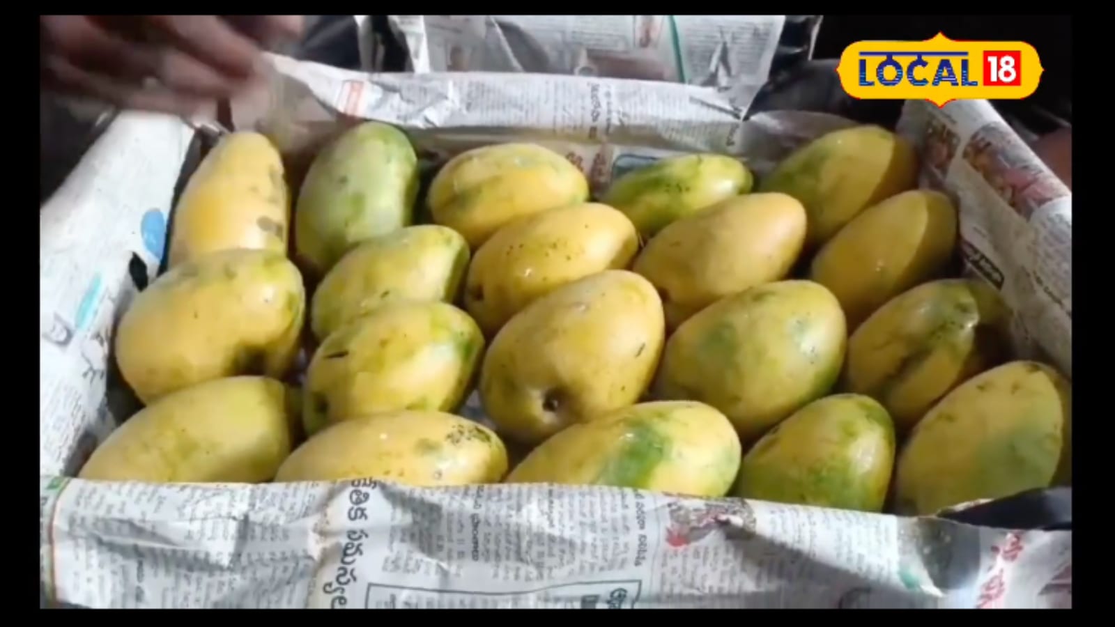 Telangana’s Badami Mango Soaring In Popularity This Summer | Lifestyle ...