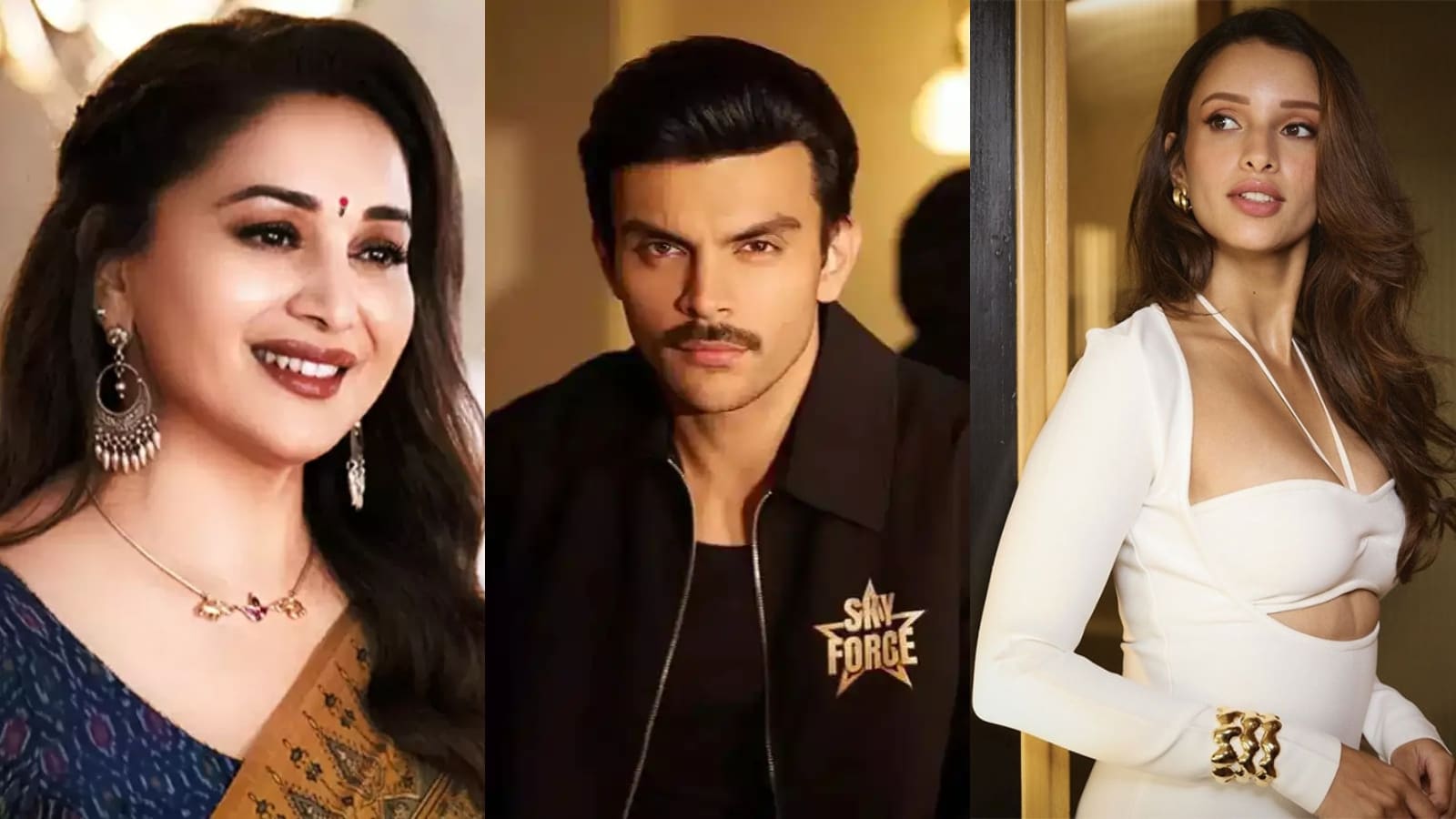 Madhuri Dixit, Triptii Dimri’s Ma Behen To Rope In Veer Pahariya As ...
