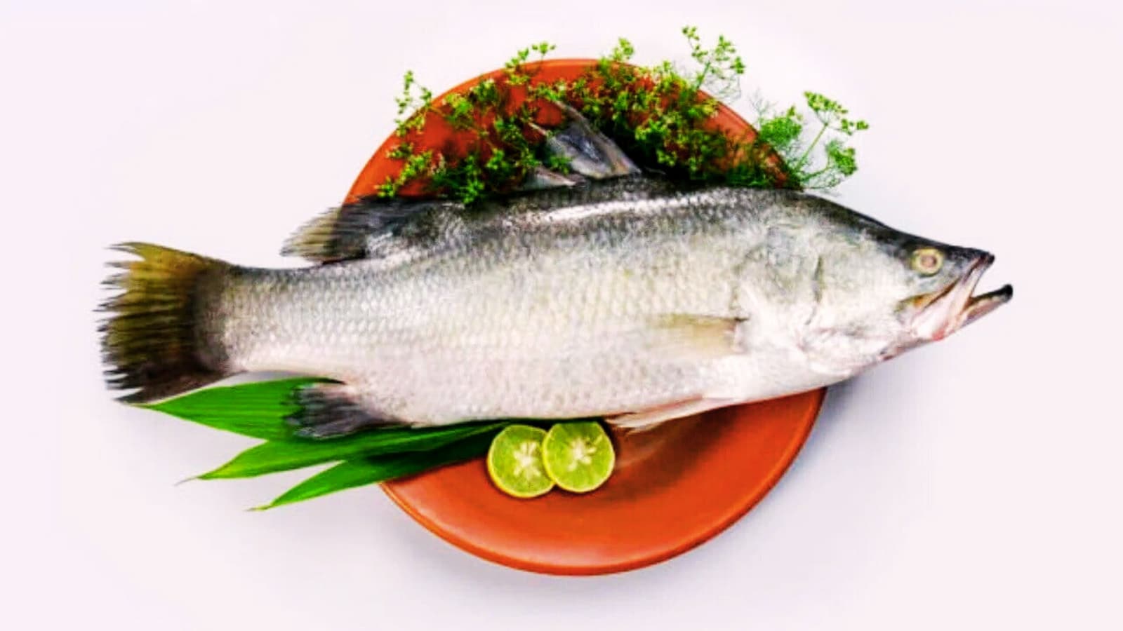 Can This Fish Really Control Blood Sugar, Cut Cholesterol, And Boost ...