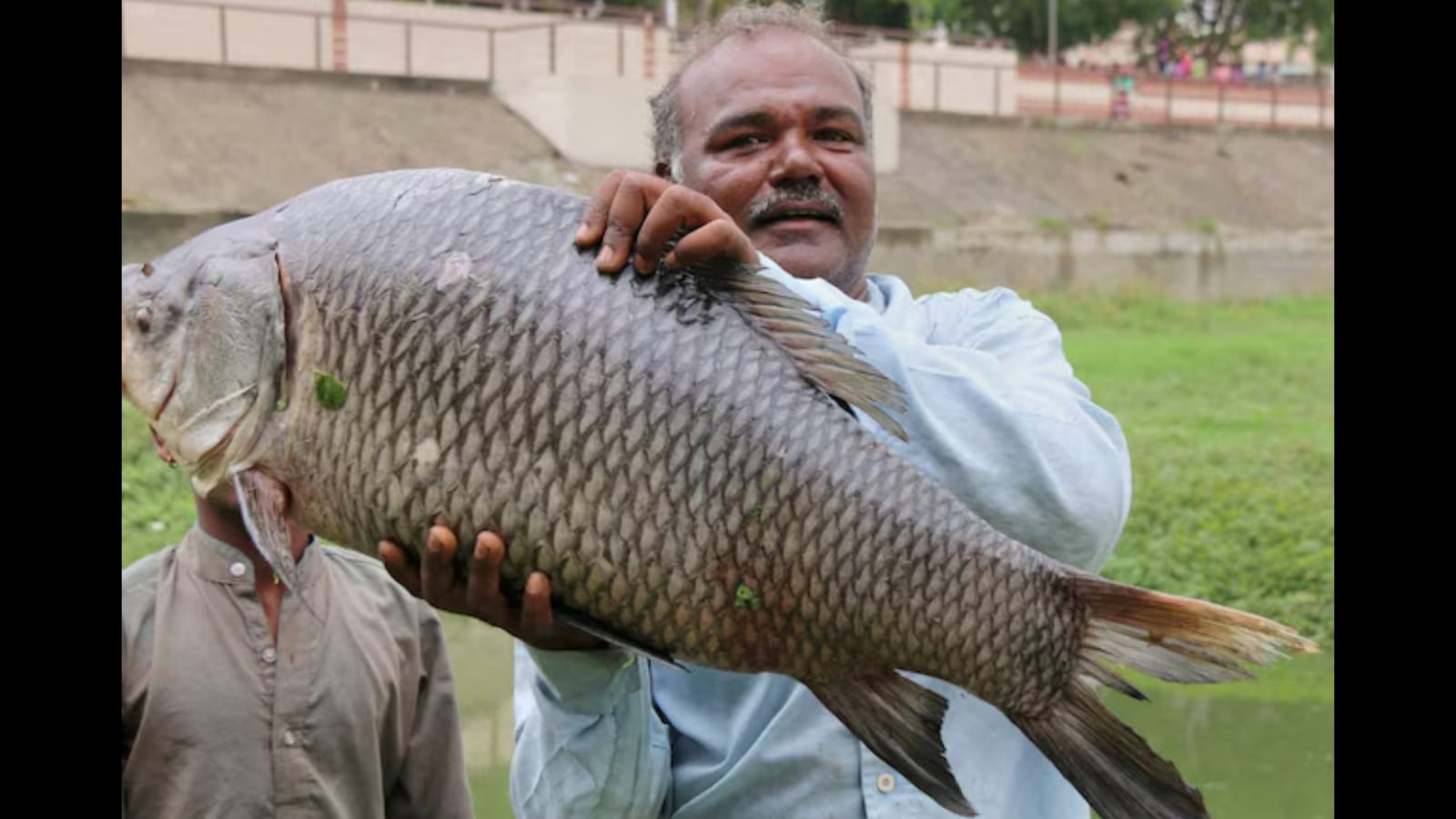 Fish Suffer In Pain For 20 Minutes Before Dying Out Of Water, Says New ...