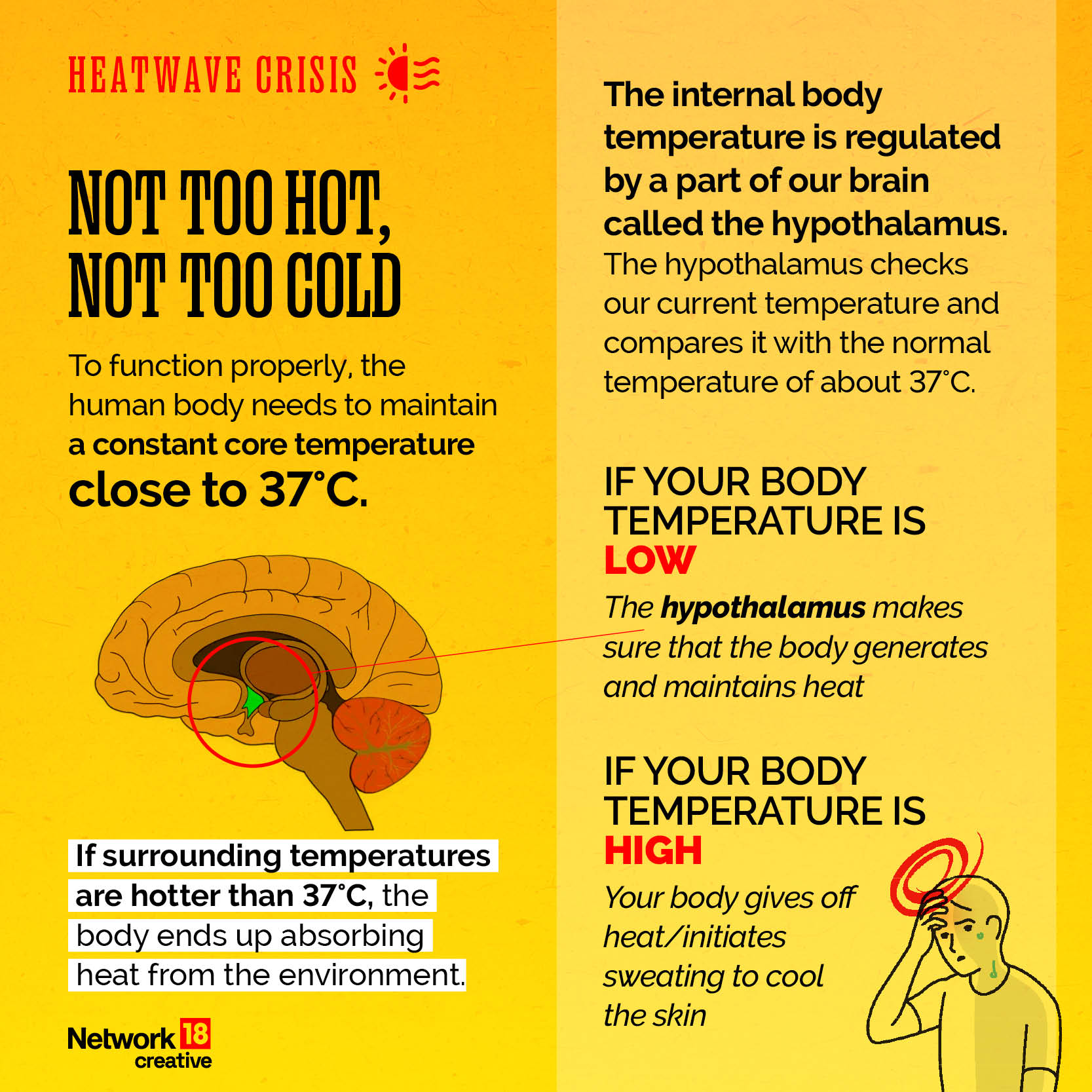 Heatwave Crisis: How Extreme Heat Kills