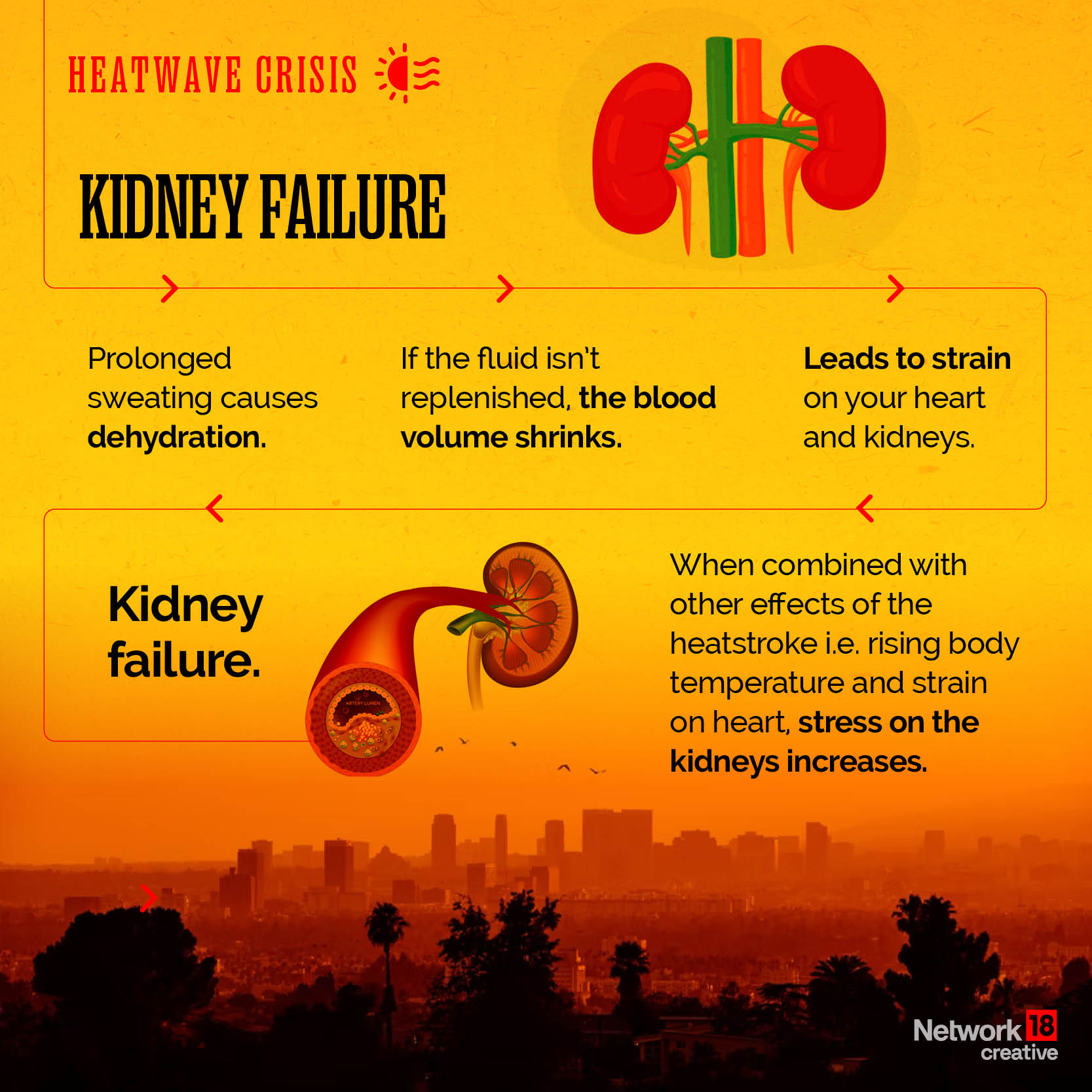 Heatwave Crisis: How Extreme Heat Kills