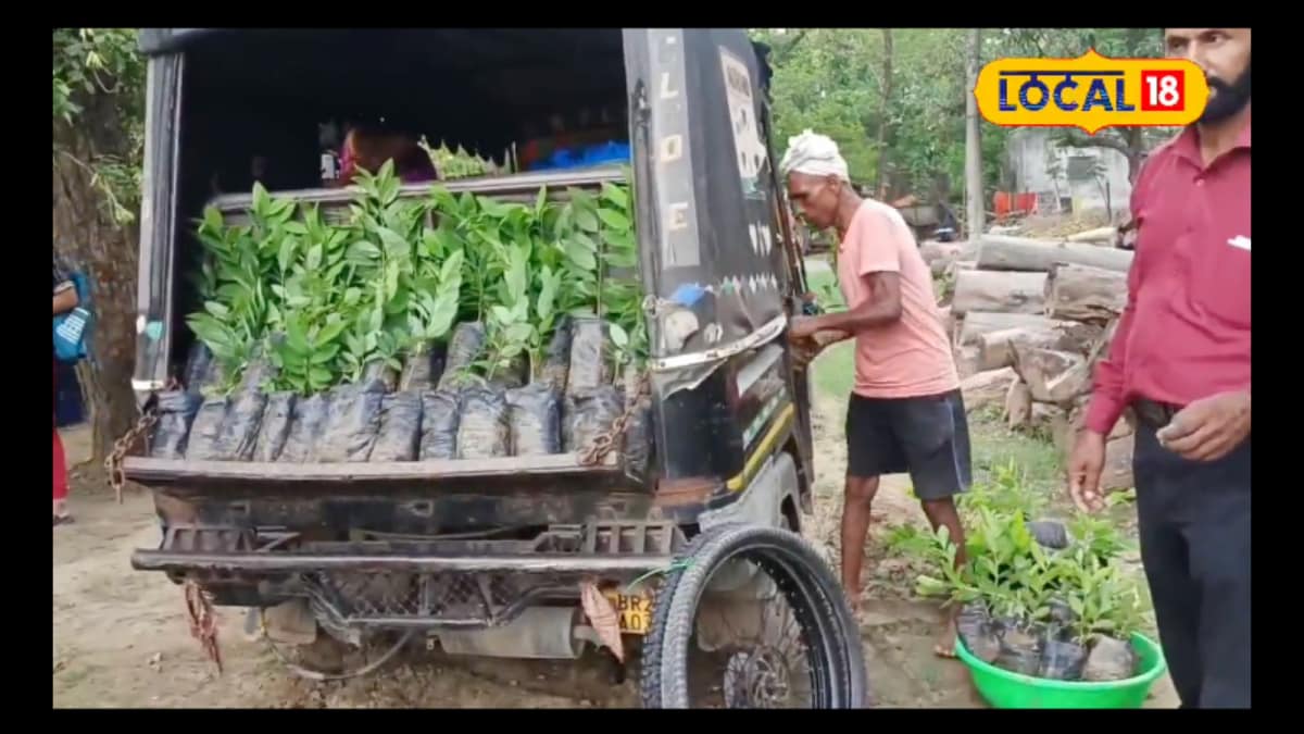 Keep These Plants Alive For 3 Years And The Govt Will Pay You 7x Your ...