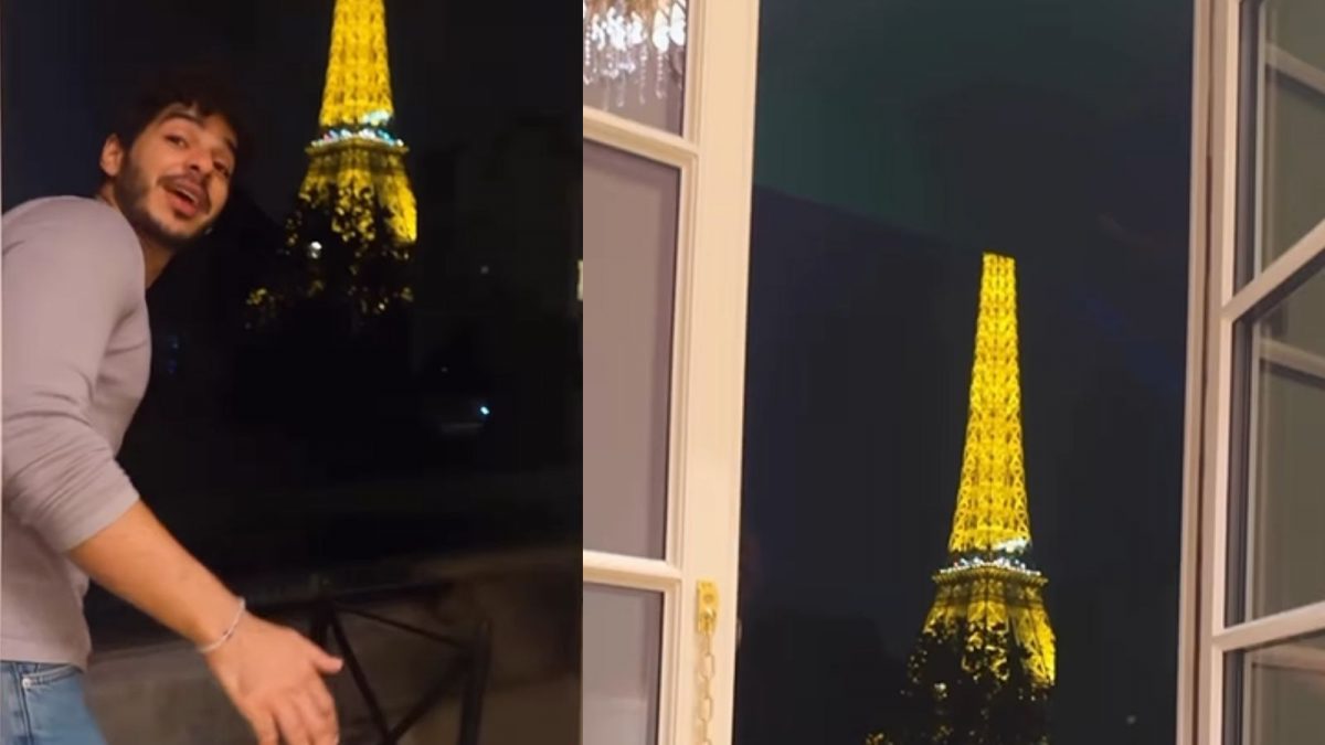 The ‘I Fell’ Tower: Ishaan Khatter’s Joke Reaches New Heights ...
