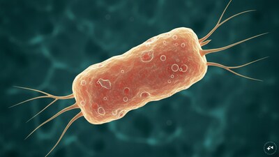 Silent Threat In Sacred Waters: Karnataka Warns Sabarimala Pilgrims ...