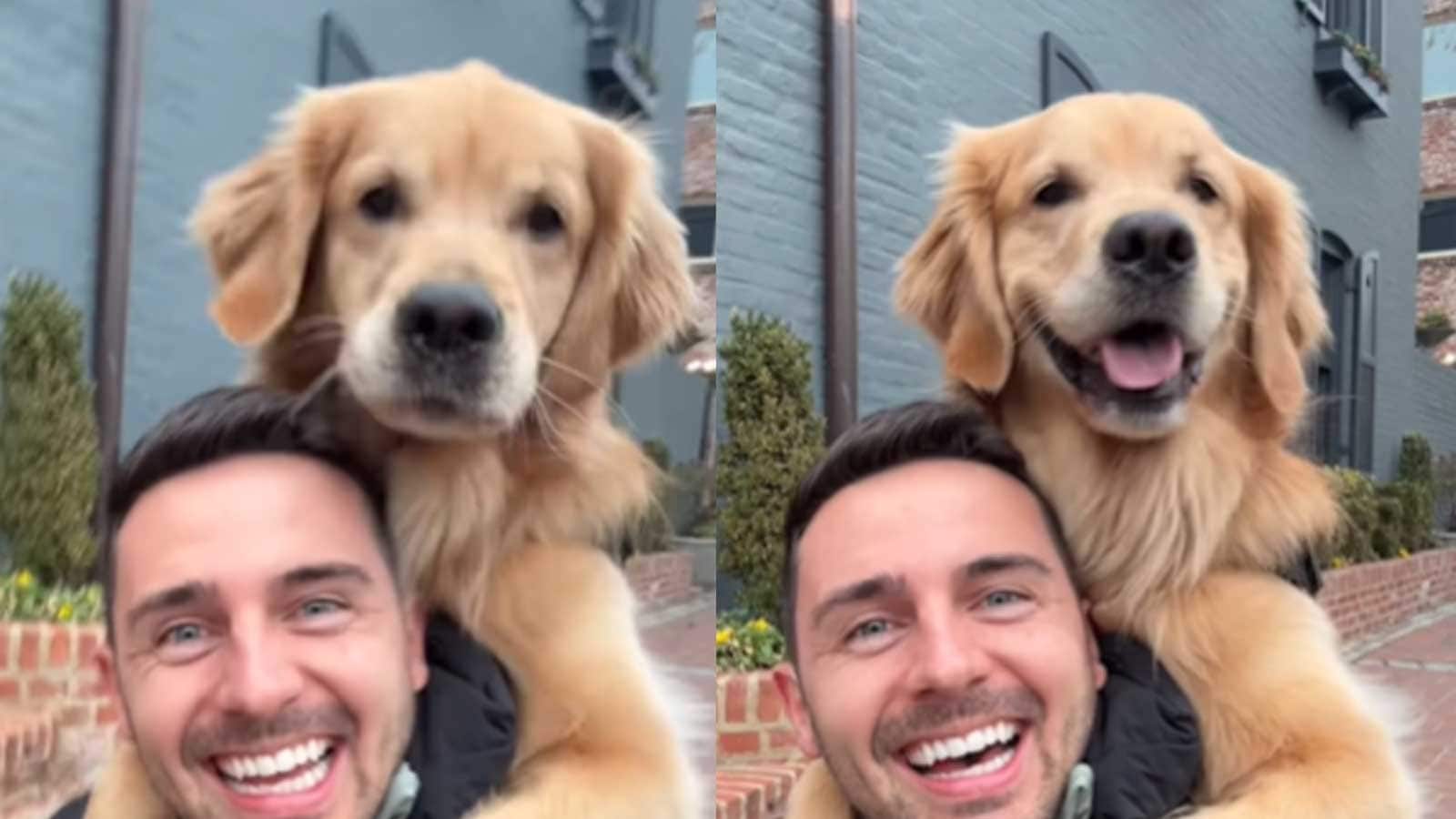 Man And His Golden Retrievers' Top 7 Selfies From World Tour Will Make ...