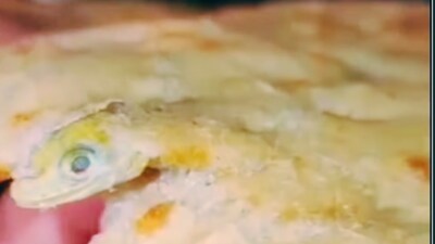 Man Orders Tandoori Roti At Dhaba, Finds Dead Lizard Stuffed Inside ...