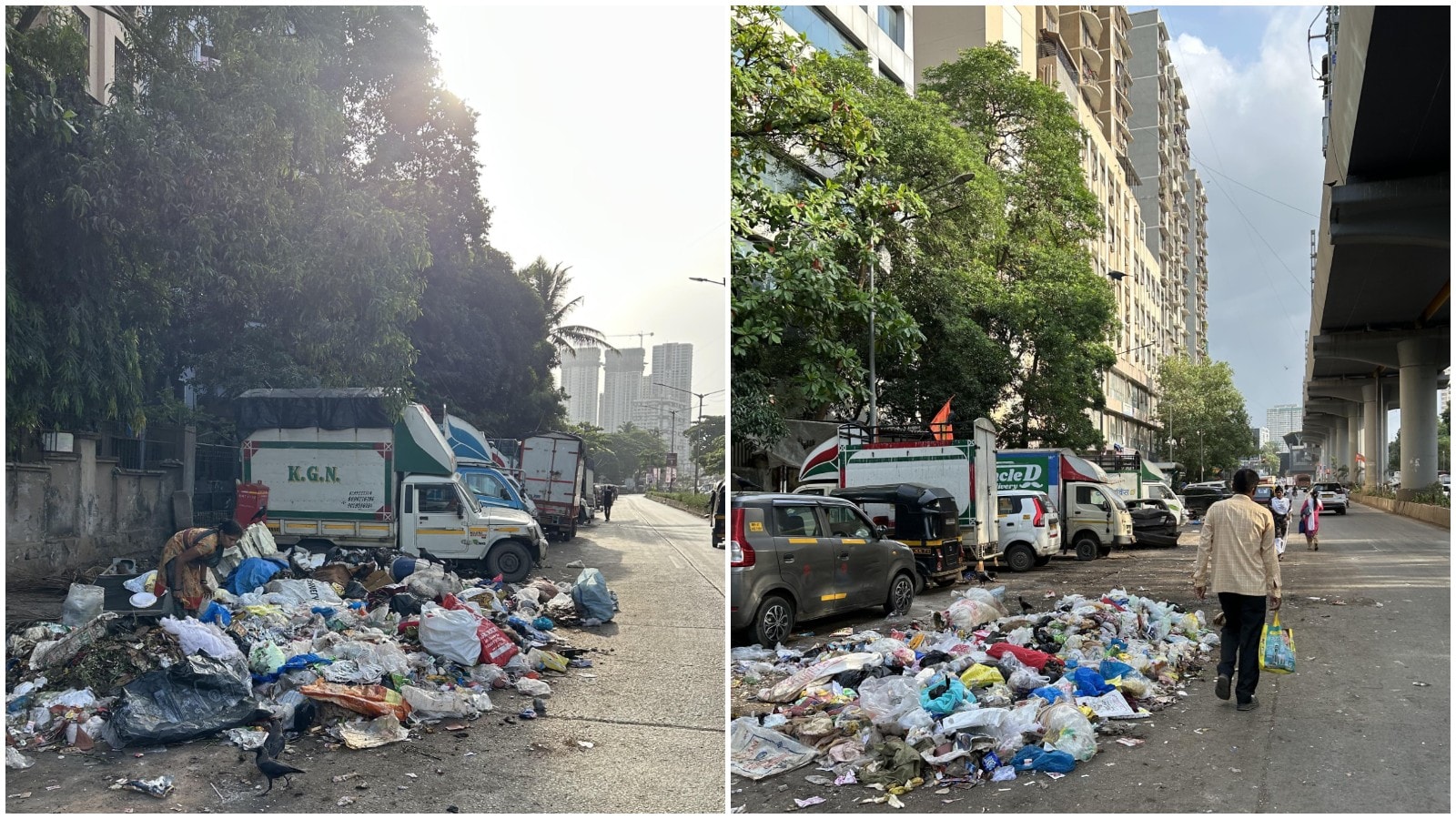 'Zero Accountability': Angry Reddit User Shares Photos Of Garbage ...