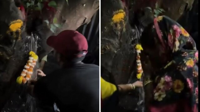 ‘The Viral Miracle Of Crying Tree’: Pune Locals Flock To Collect ‘Holy ...