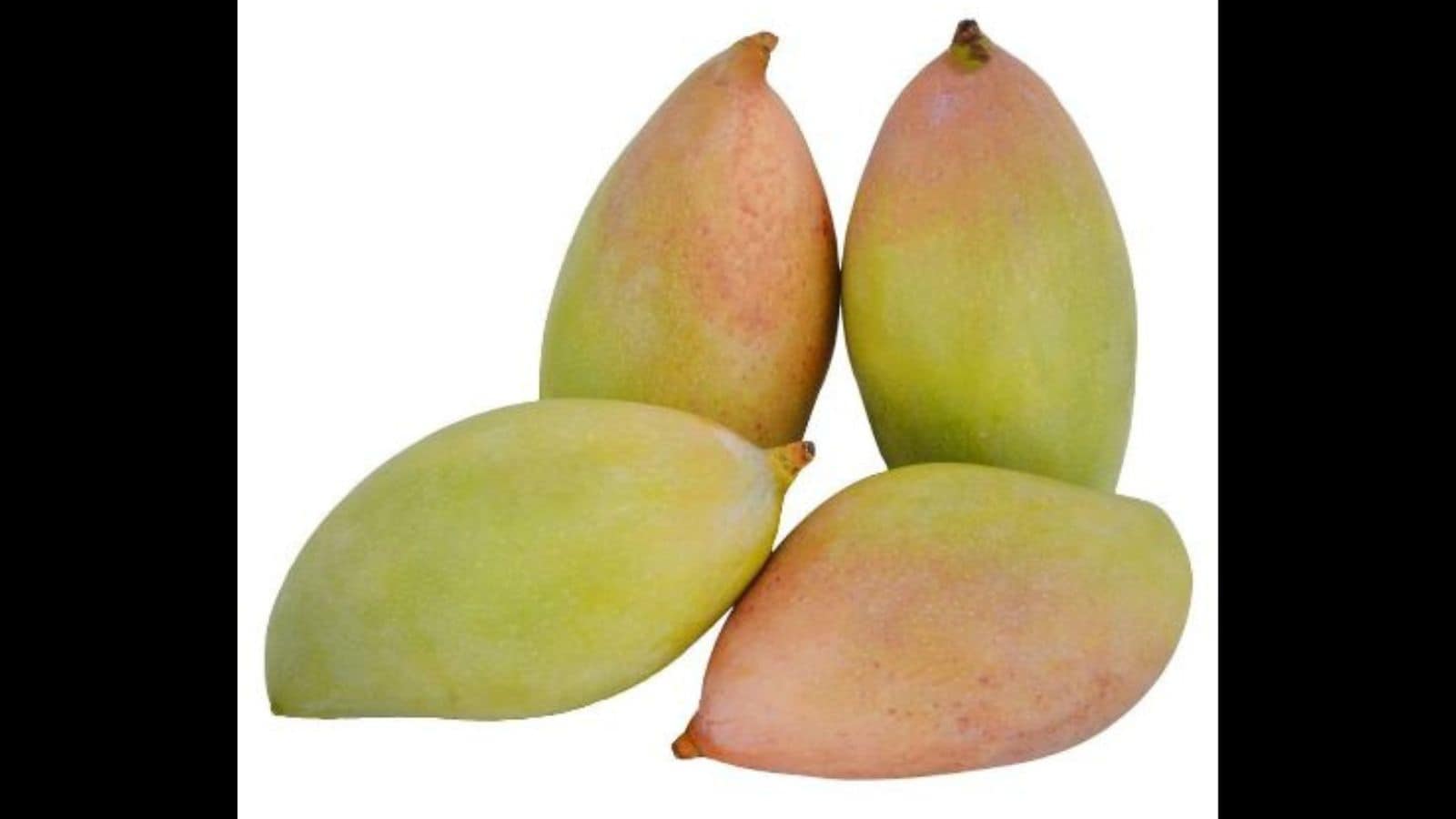 Karnataka’s Totapuri Mango Growers In A Squeeze As Andhra Pradesh Ban ...