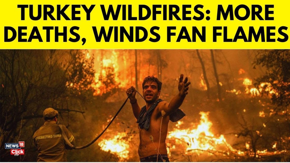 Turkey Wildfires Rage On: More Deaths Reported as Strong Winds Spread ...