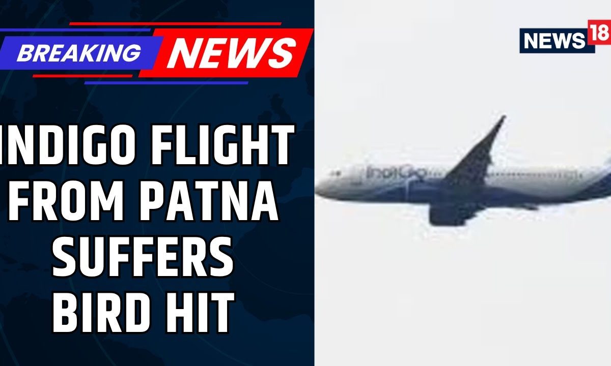 Indigo's Patna-Delhi Flight Makes An Emergency Landing After Bird Hit ...