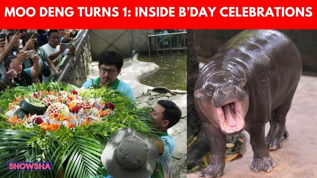 Baby Pygmy Hippo Superstar Moo Deng Celebrates First Birthday At ...