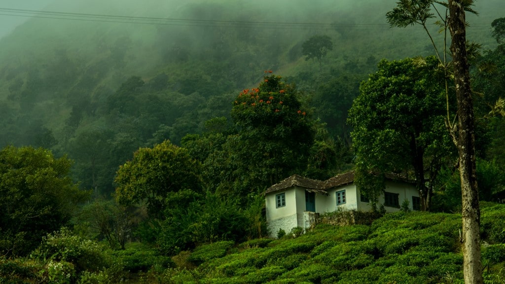 From Hills To Heritage: Discover India’s Most Relaxing Monsoon Retreats ...