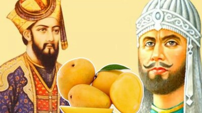 Humayun’s Defeat, Sher Shah’s Victory: How The Chausa Mango Got Its Name | Viral News - News18