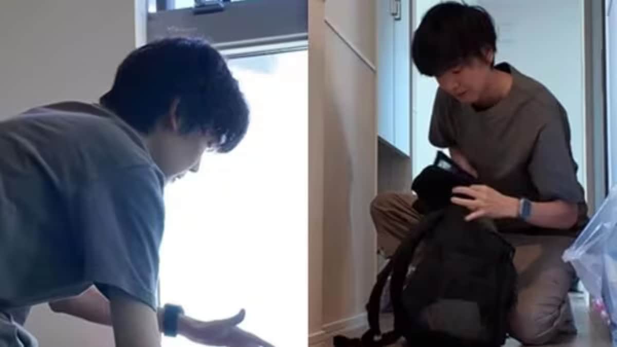 Watch: Japanese Vlogger Evacuates With Pet Cat And Bird After Tsunami ...