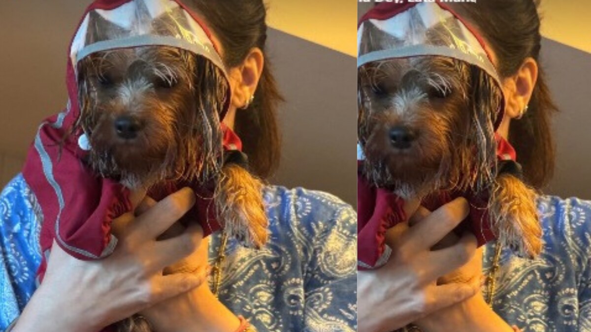 Maheep And Sanjay Kapoor’s Dog Pablo Just Entered Instagram, And He’s A ...