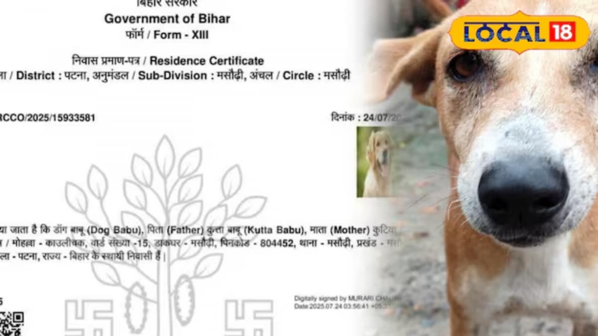Name: Dog Babu, Father's Name: Kutta Babu. Pooch Issued Residence ...