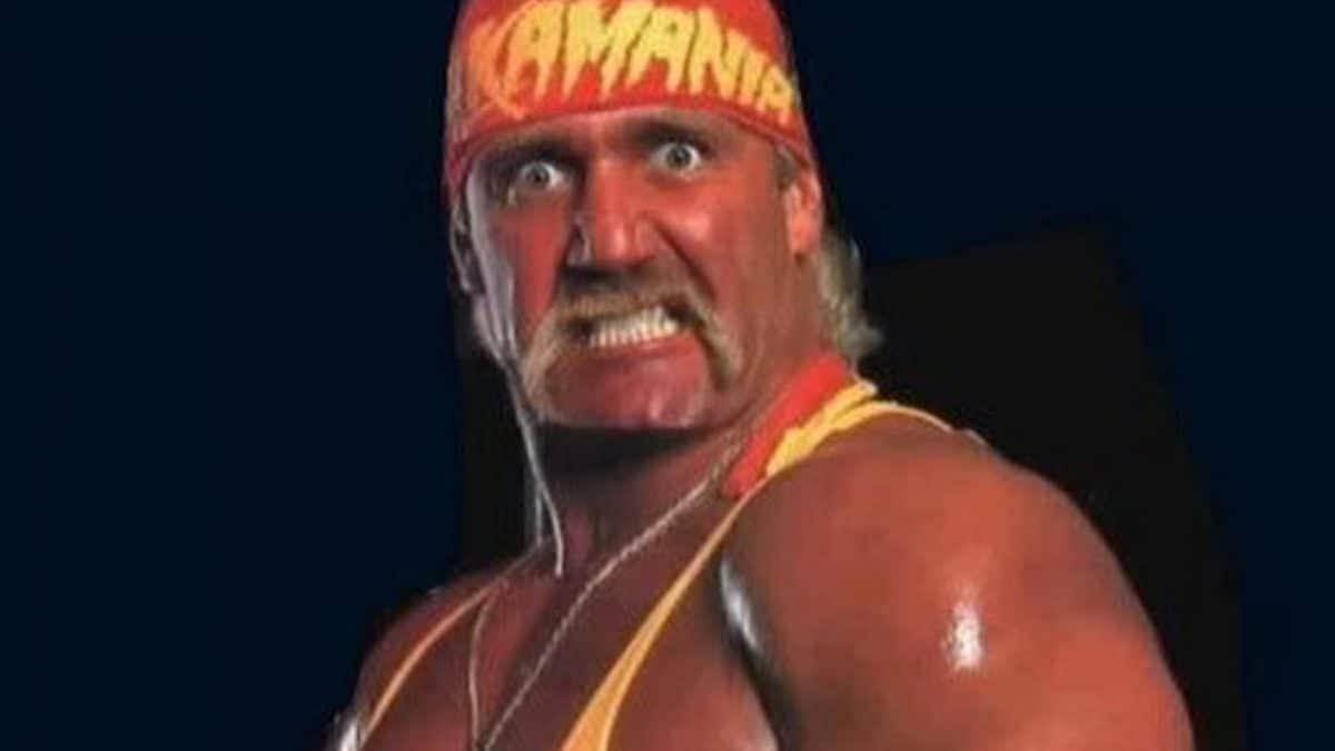 Hulk Hogan’s Most Memorable Movies And TV Moments That Made Him A Pop ...