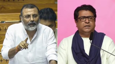 ‘Did I Teach Hindi?’ BJP MP’s Quirky Response To Raj Thackeray's 'Dubo ...