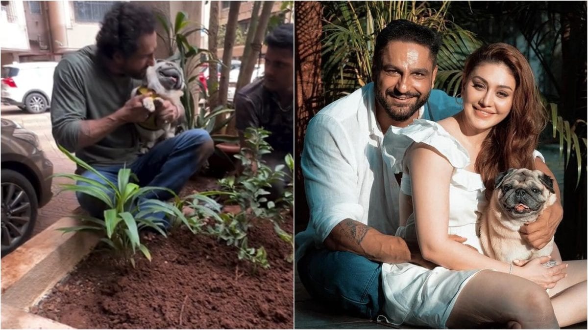 Shefali Jariwala’s Husband Parag Tyagi Plants Trees In Her Memory ...