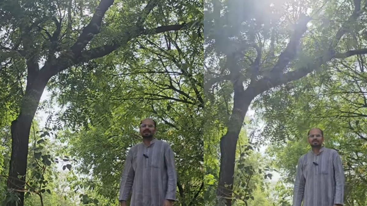 This Tree In Delhi’s Dwarka Sector 9 Is ‘Haunted’. Beneath Its Concrete ...