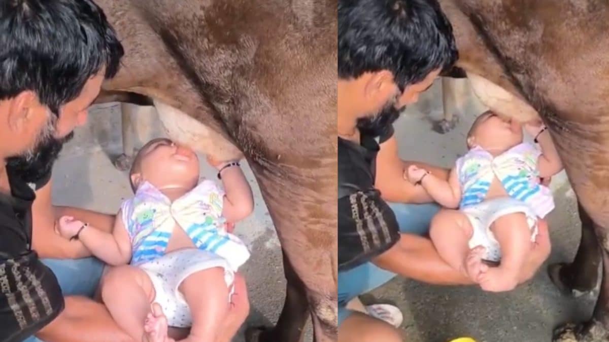 Video Of Man Feeding Raw Cow Milk To Baby Trigger ‘Dangerous’ Health ...