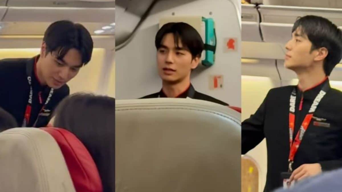 ‘He’s So Handsome’: Flight Attendant’s Striking Resemblance To Chinese ...