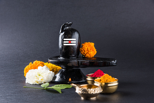 Worshipping Lord Shiva At Home? Know These 8 Sacred Rules About The ...