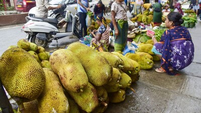 'Tipsy' KSRTC Driver Fails Breathalyzer Test, Blames Hearty Jackfruit ...