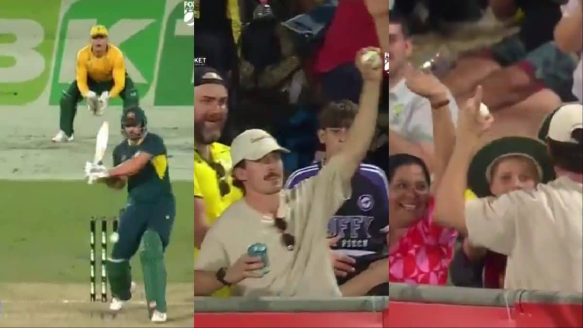 Fan, With 2 Cans In One Hand, Takes Unbelievable Catch With The Other ...