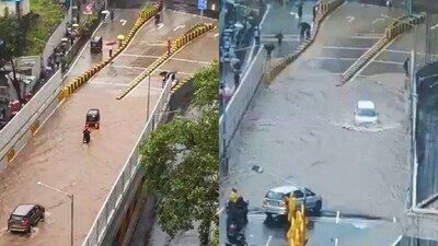 Mumbai: Viral Video Sparks Outrage As Newly Inaugurated Flyover Gets ...