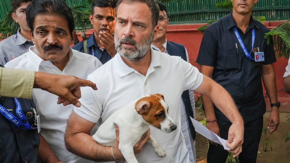 ‘Voiceless Souls’: Rahul Gandhi Says SC's Stray Dog Order ‘Shortsighted ...