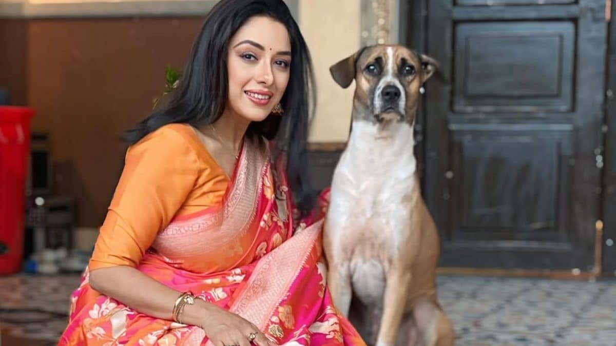 Rupali Ganguly Condemns Supreme Court Order On Stray Dogs: 'It Isn’t ...