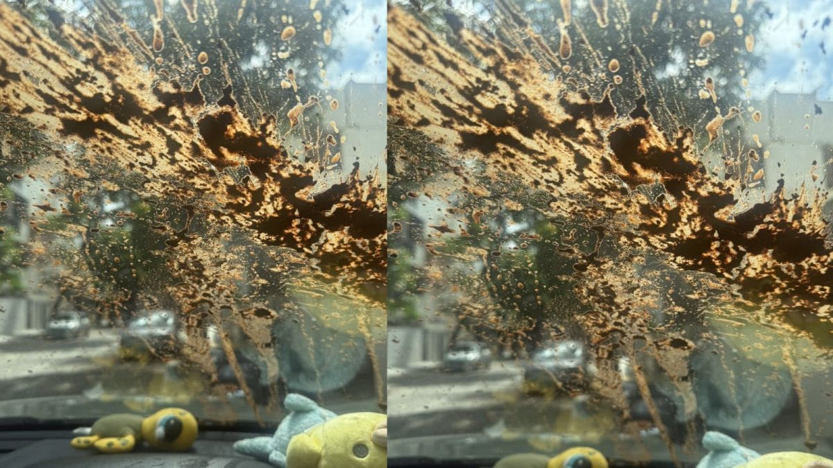 ‘Tyre Punctured, Car Scratched’: Bengaluru Resident’s Vehicle Attacked ...