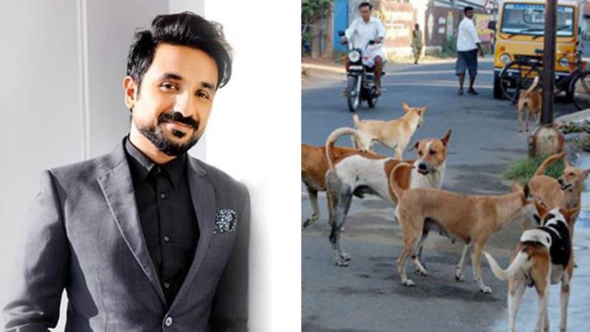 Vir Das Welcomes Supreme Court’s Stray Dog Ruling: 'Voiceless Dogs Now ...