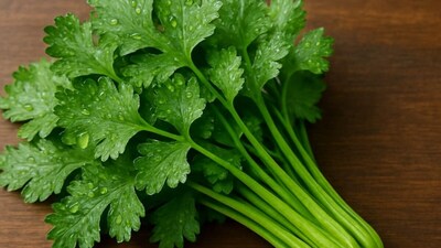 Hate Coriander? You're Not Picky, There Might Be A Scientific Reason ...