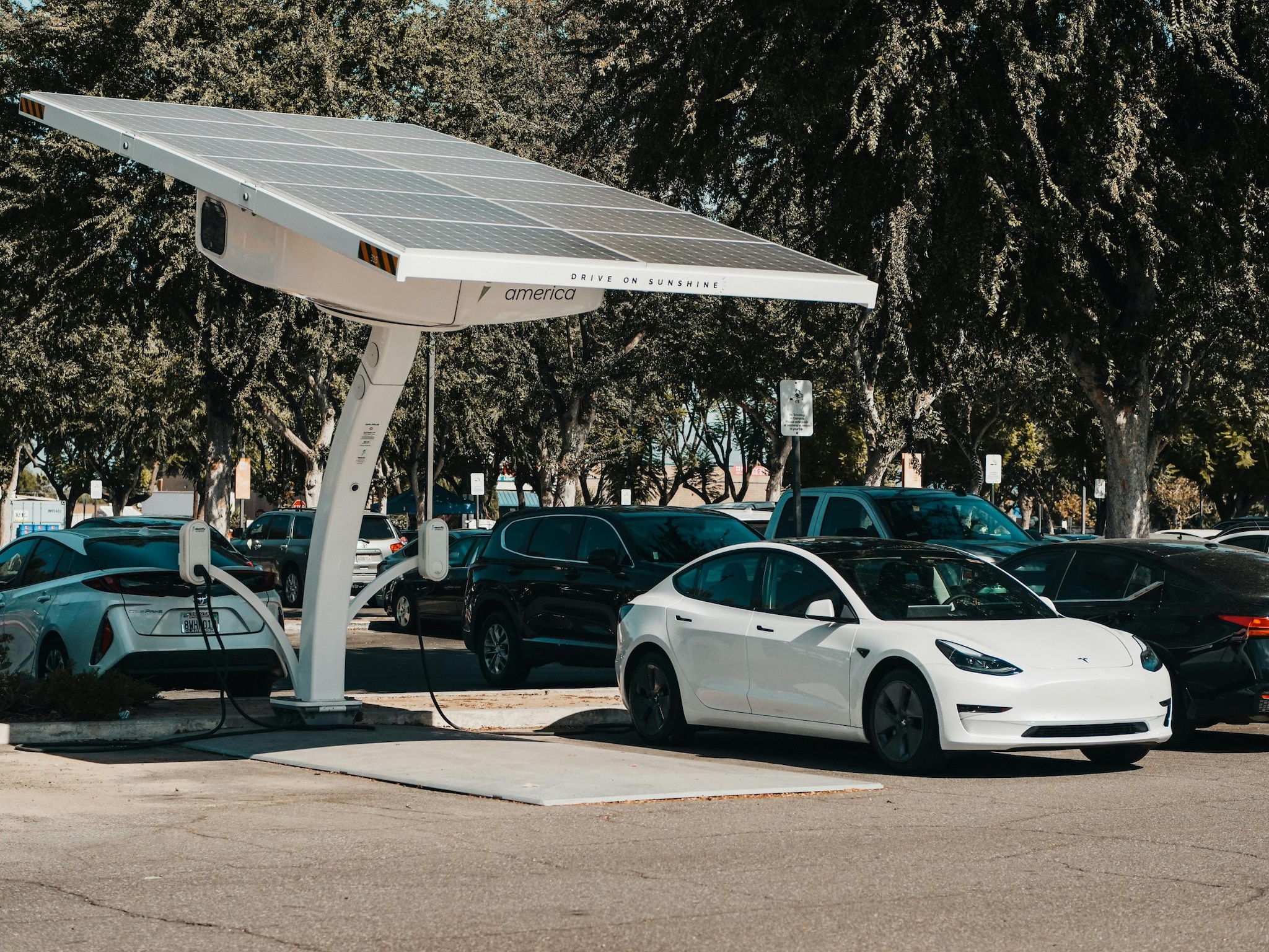 EV Leaders: Top 10 Countries With The Most Electric Cars